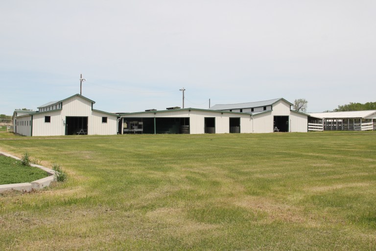 Phillips County Fair | Montana's Historic Landscapes
