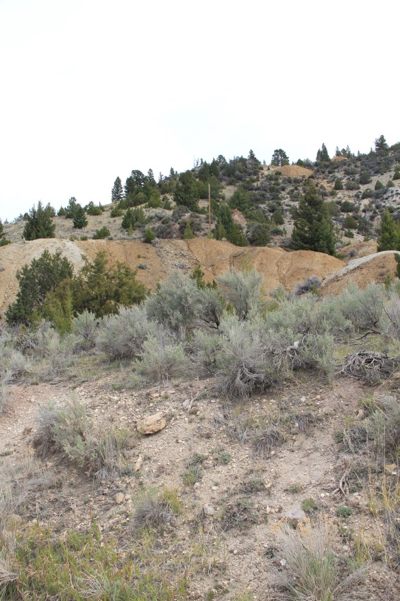 Beaverhead’s Argenta and Farlin Mines | Montana's Historic Landscapes