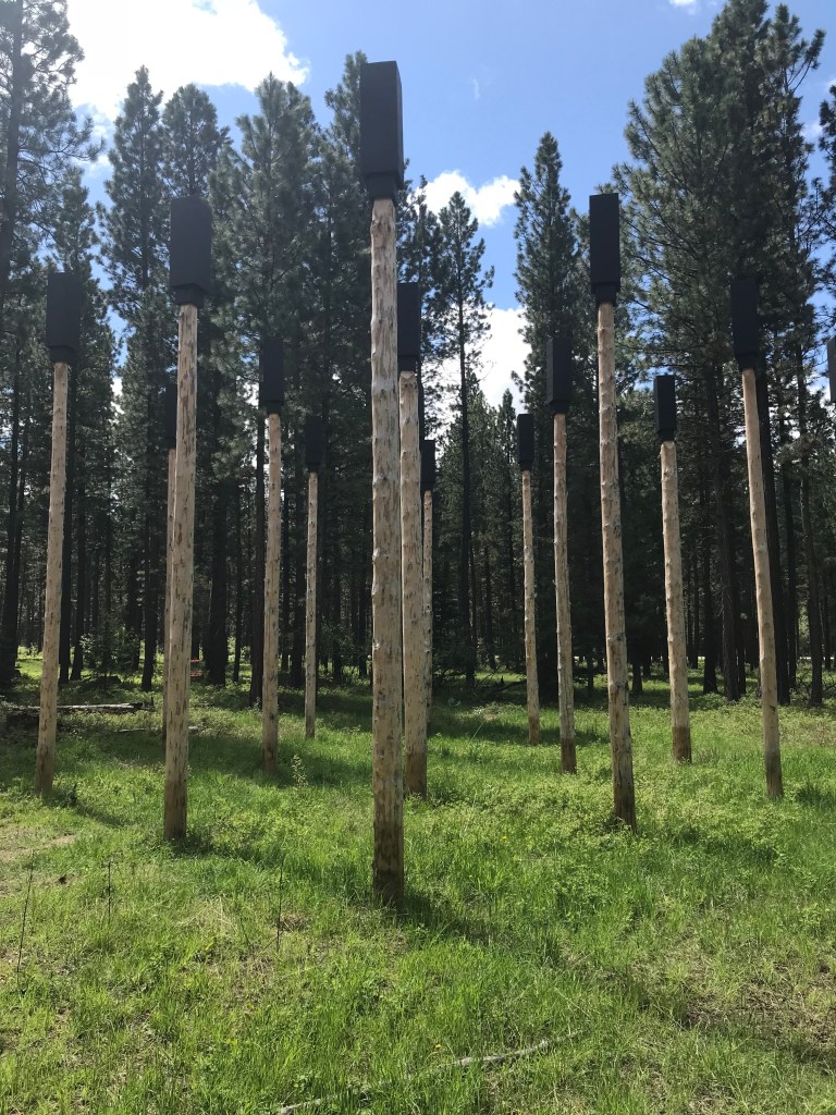 Lincoln’s TeePee Burner and new vistas in a national forest | Montana's ...