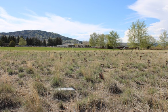 A second visit to Butte’s Mountain View Cemetery | Montana's Historic ...