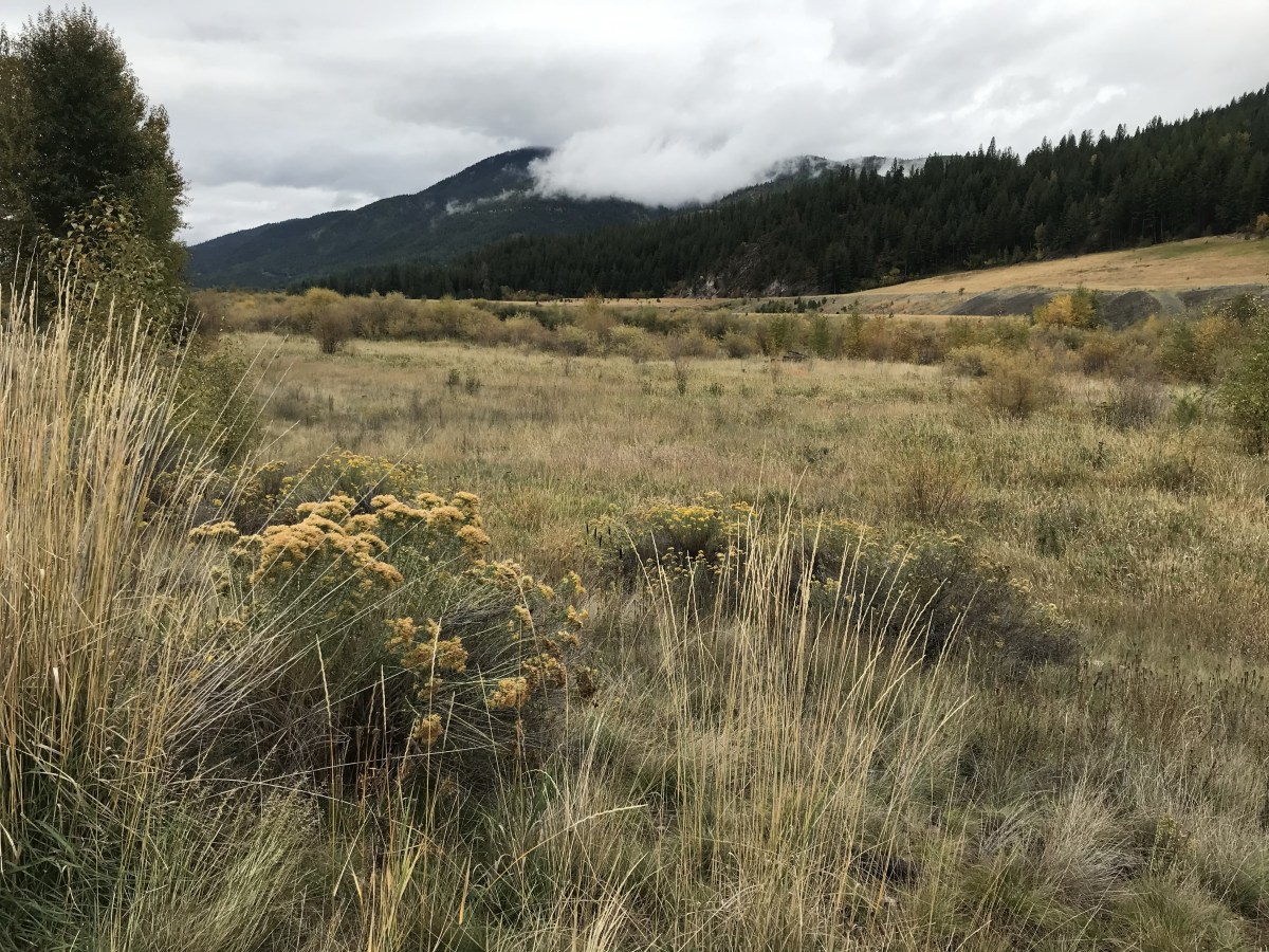 Milltown State Park, revisited | Montana's Historic Landscapes