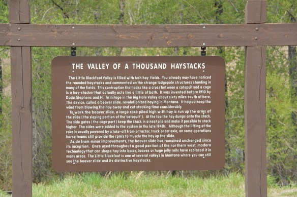 Beaverslides in Montana | Montana's Historic Landscapes