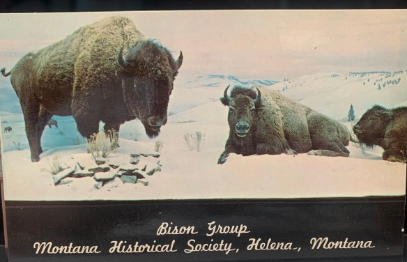 Transforming State History: the new Montana Historical Society museum ...